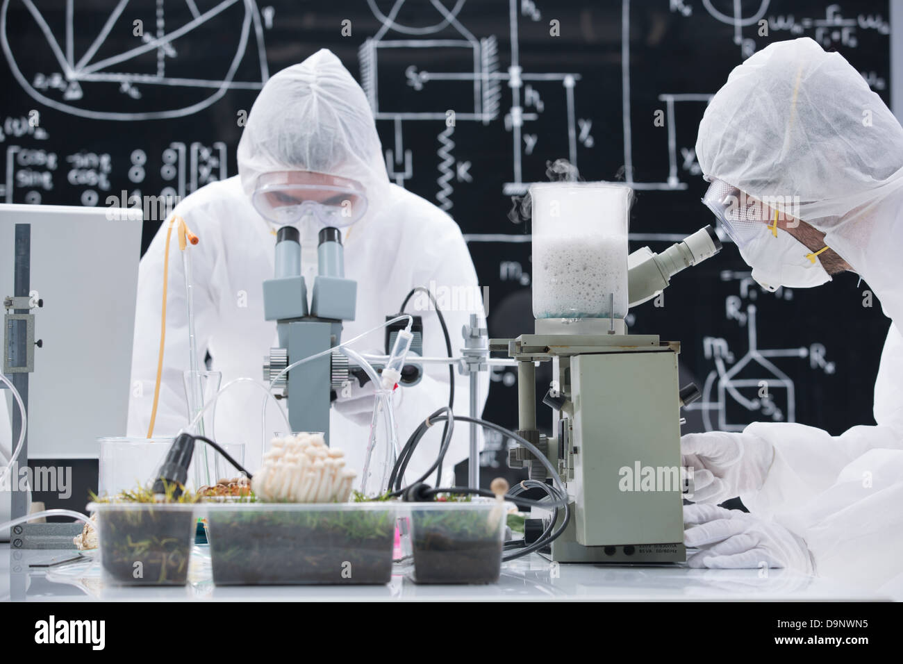 general-view of two people analyzing under microscope in a chemistry ...