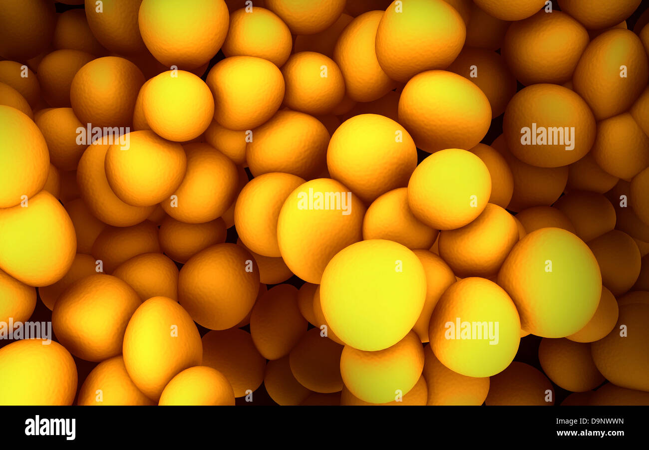 Staphylococcus aureus bacteria hi-res stock photography and images - Alamy