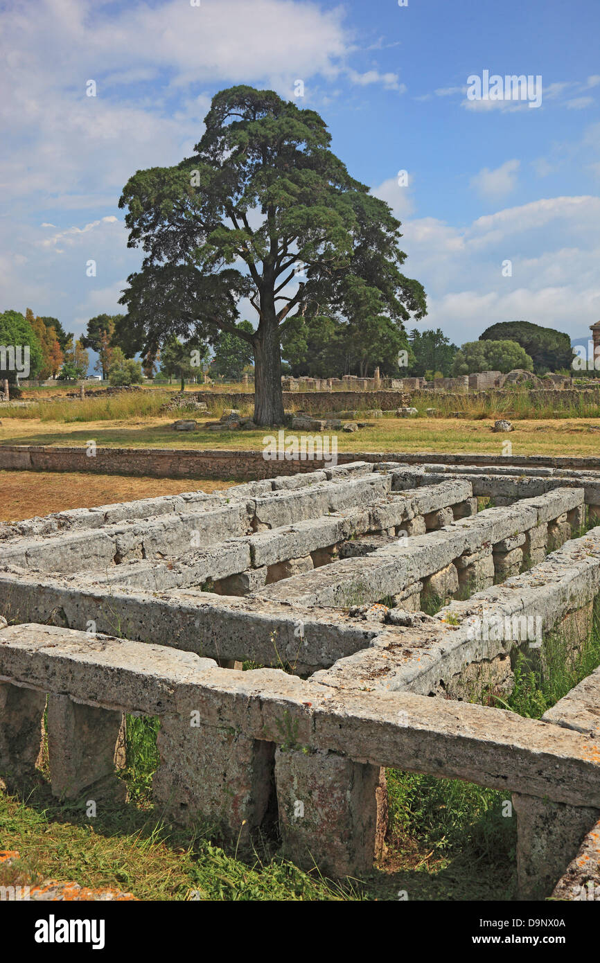 Swimming and Diving maze in Paestum, Campania, Italy Stock Photo - Alamy