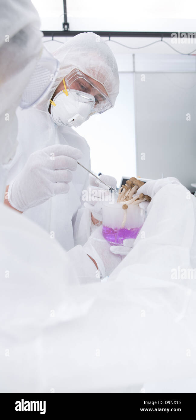 close-up of two people in a chemistry lab combining colorful liquids ...