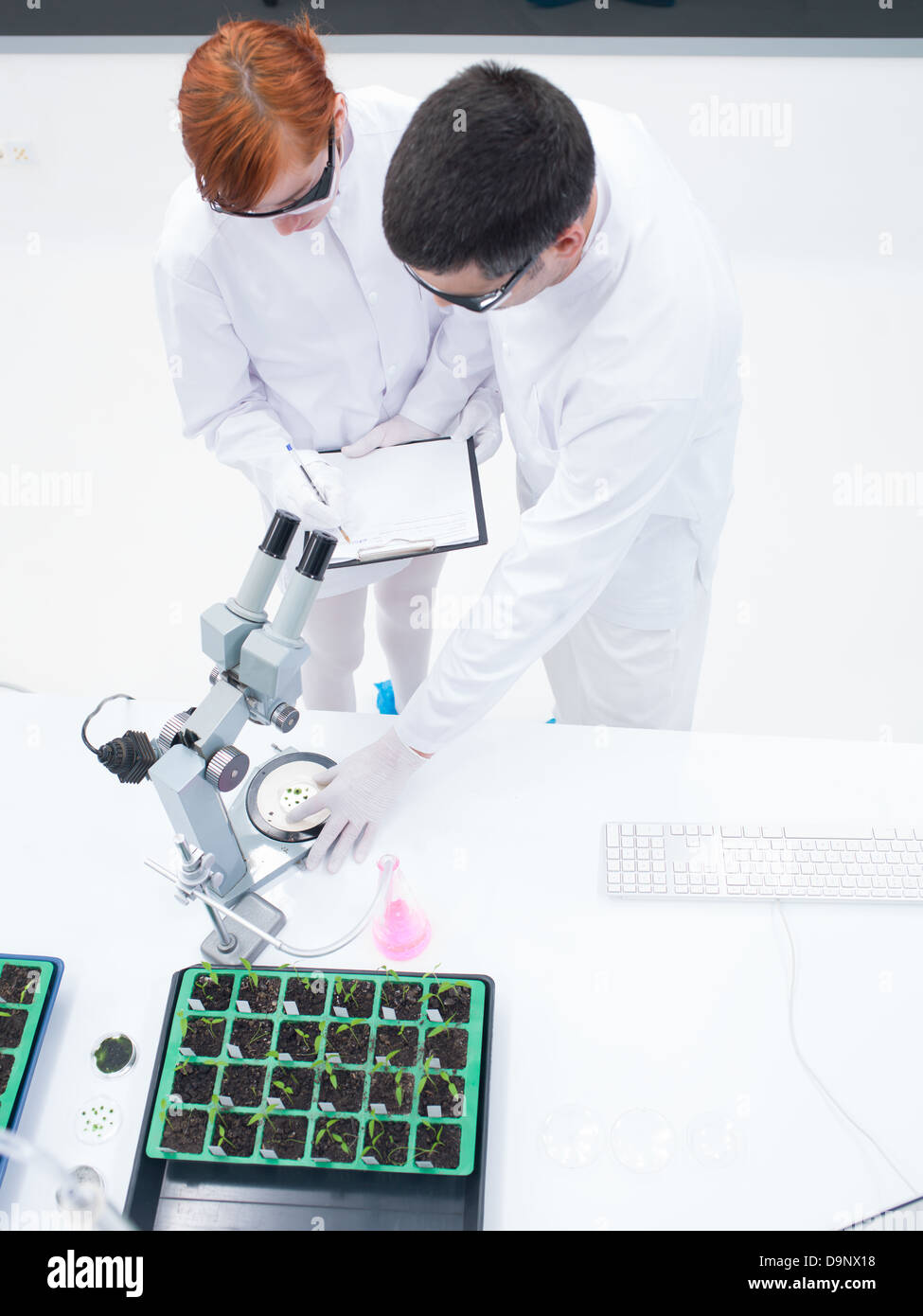 upper- view of one scientist analyzing, formulating and proposing ...