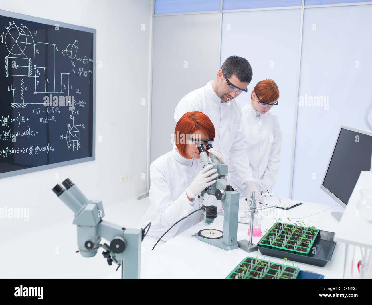 Grass under microscope hi-res stock photography and images - Alamy