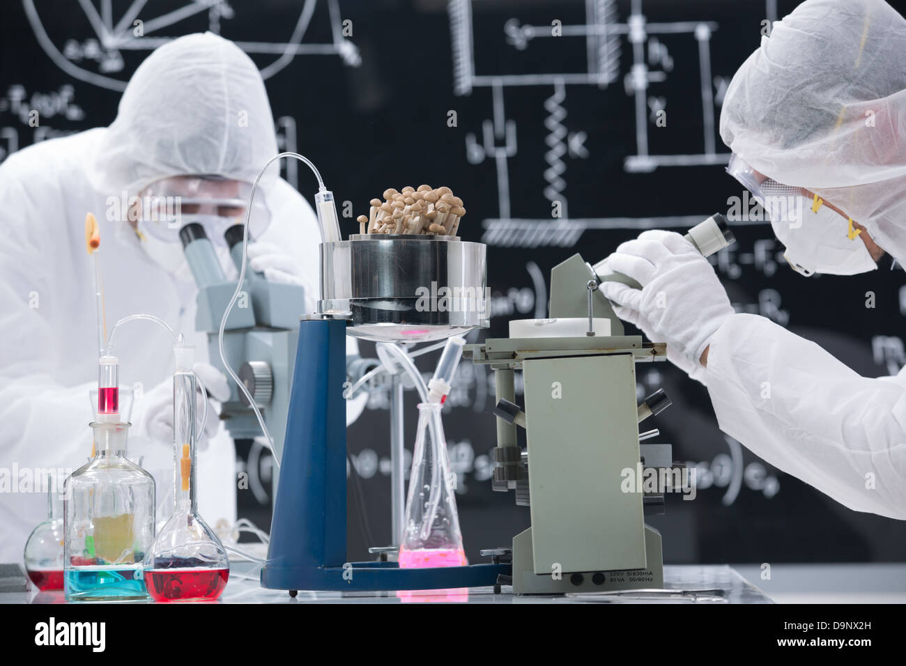 close-up of two scientists in a chemistry lab analyzing colorful ...