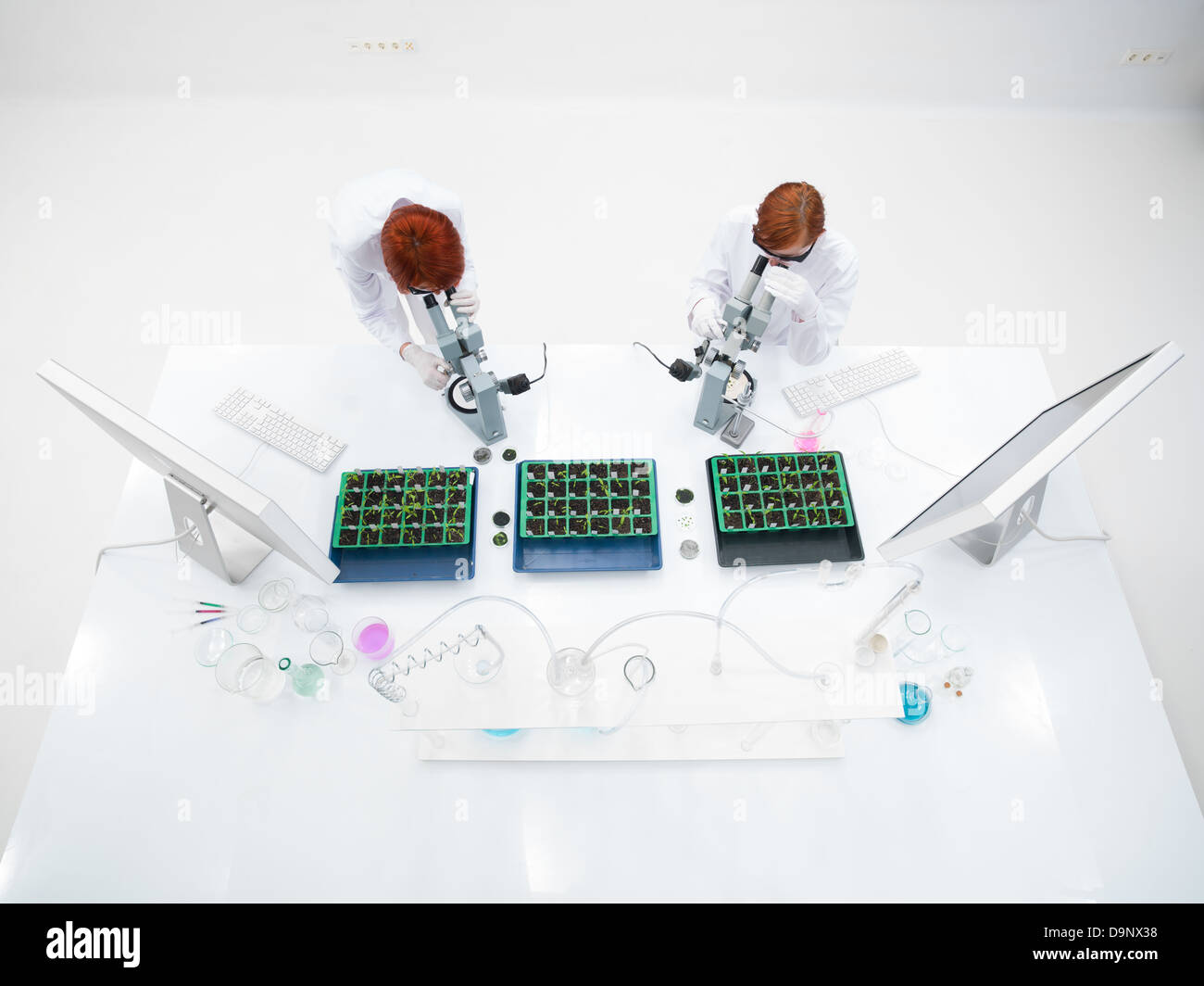 upper-view of two women in a chemistry lab analysing under microscope ...