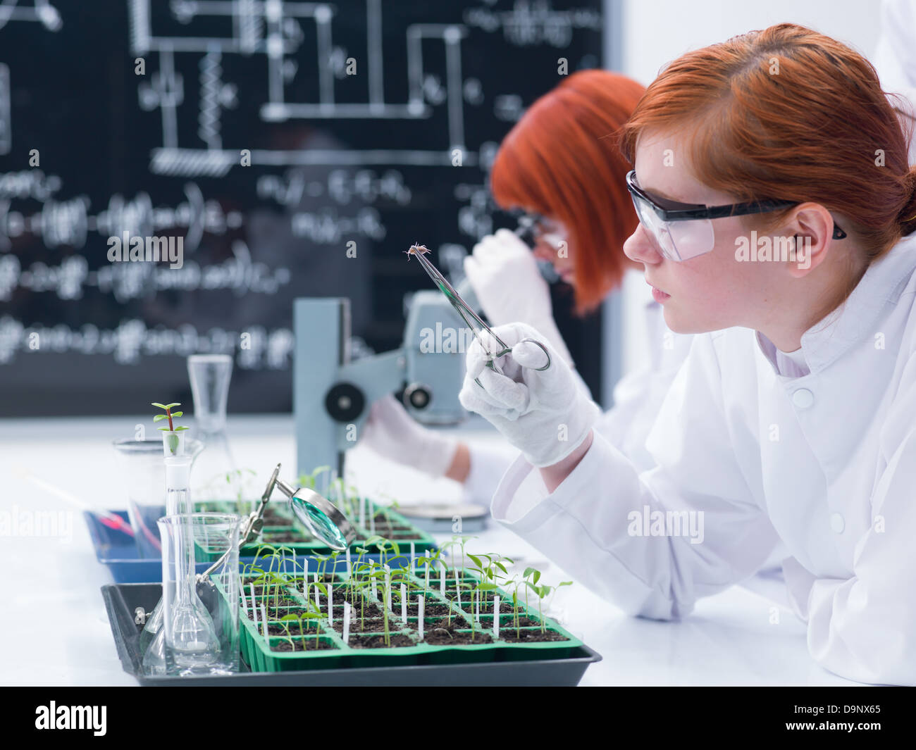 Laboratory glassware butterfly hi-res stock photography and images - Alamy