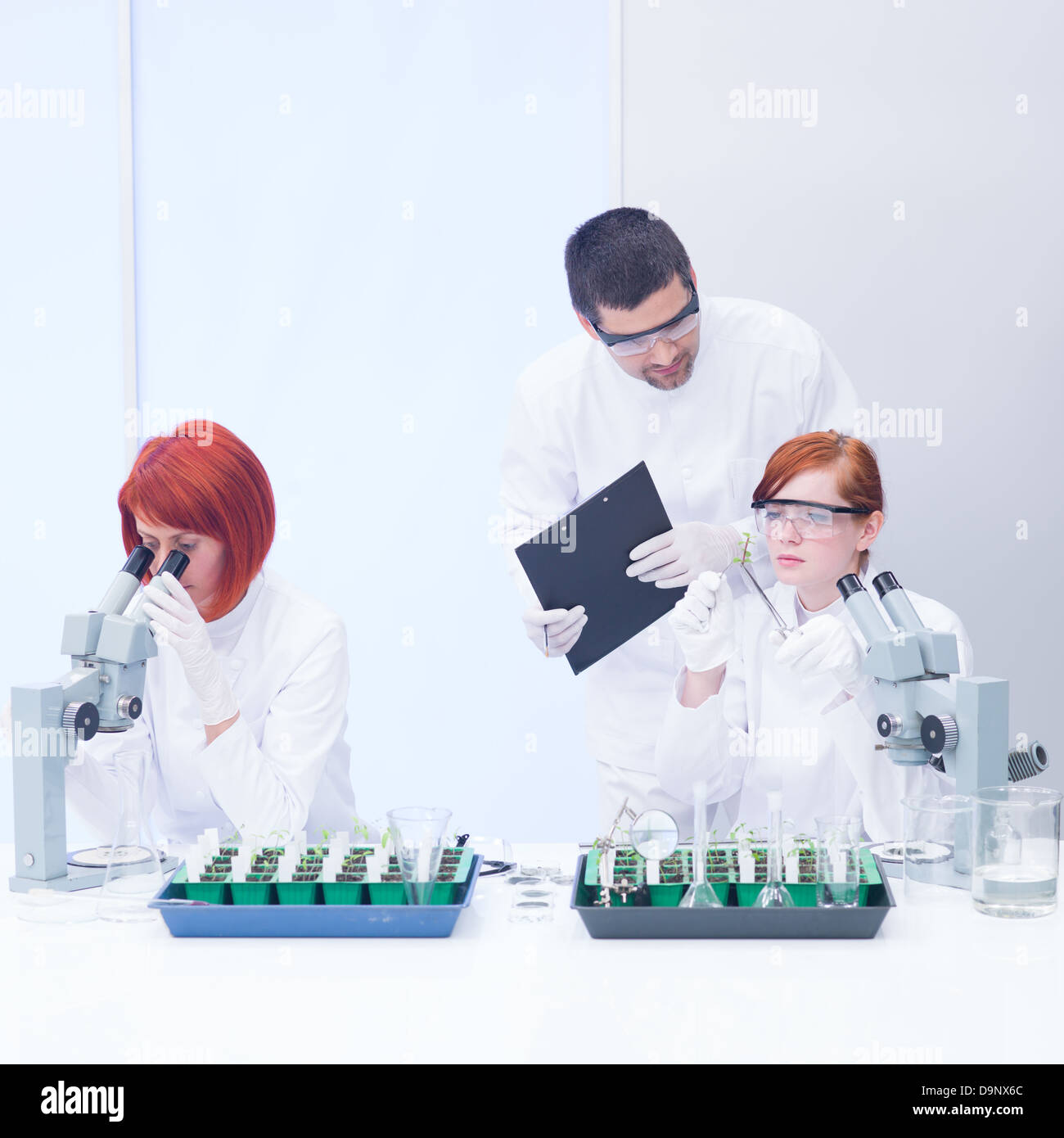 Clip board school observing hi-res stock photography and images - Alamy