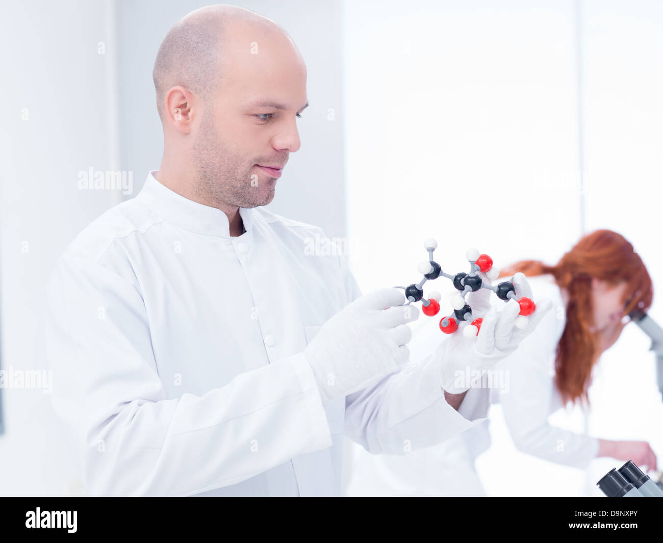 close-up of a scientist analyzing a citric acid molecular model in ...