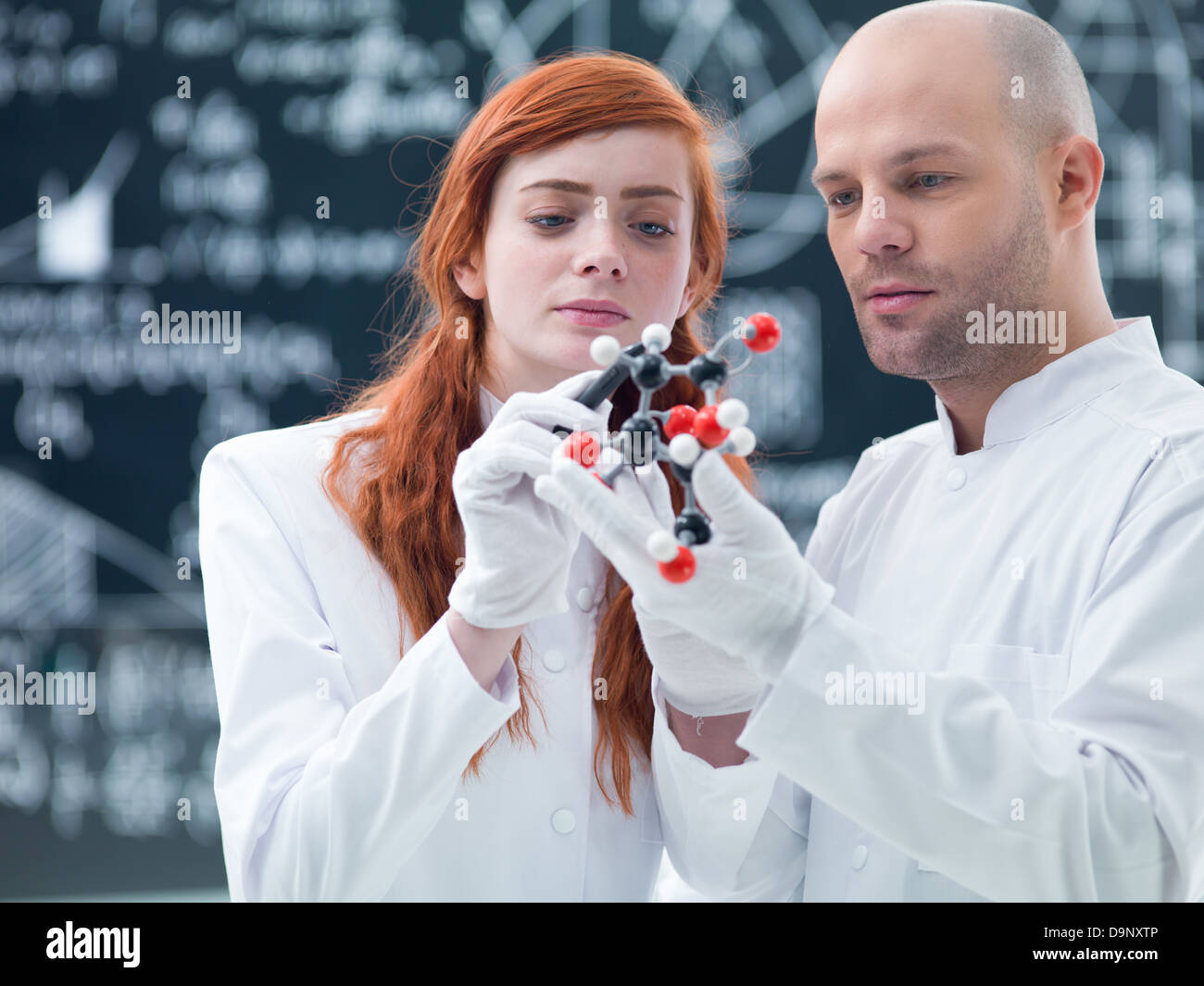 general-view of a student in a chemistry lab analyzing a citric acid ...
