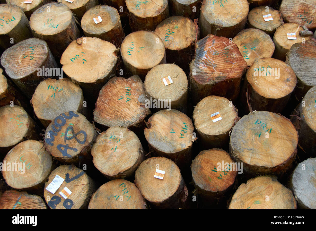 Long Timber Wharf High Resolution Stock Photography and Images - Alamy