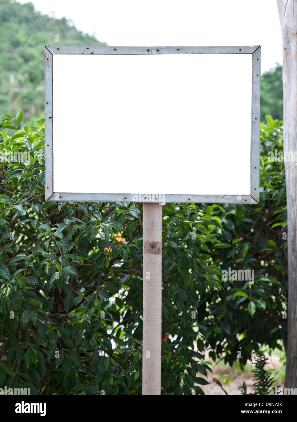 empty wooden sign post on garden Stock Photo - Alamy