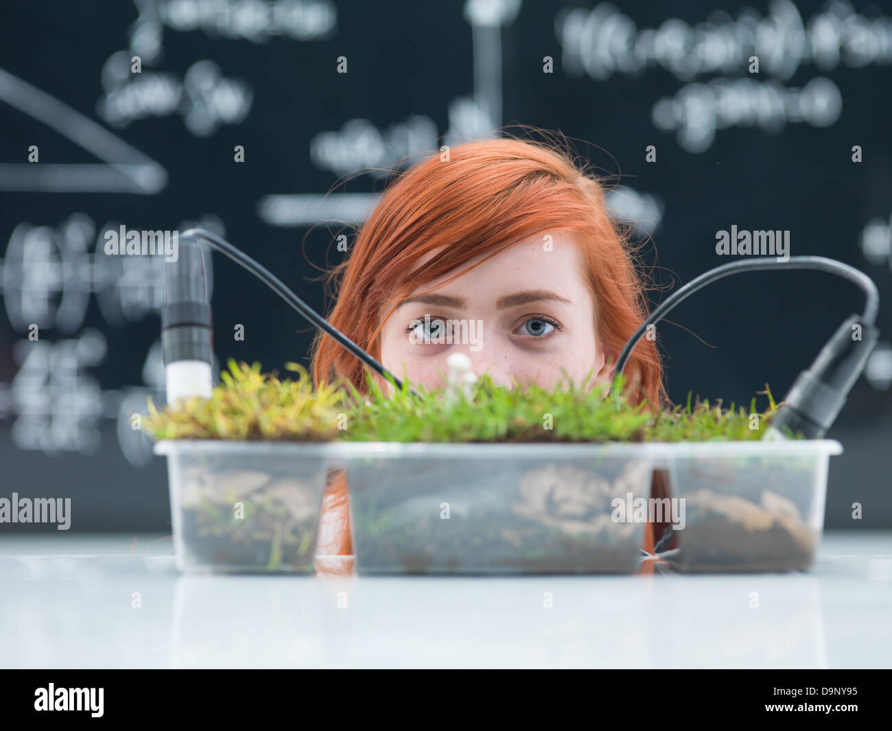close-up of a student in a chemistry lab curiously observing grass ...