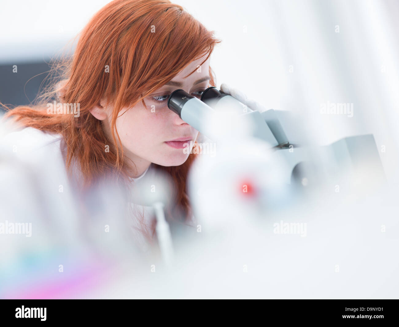 Under microscope tree hi-res stock photography and images - Alamy