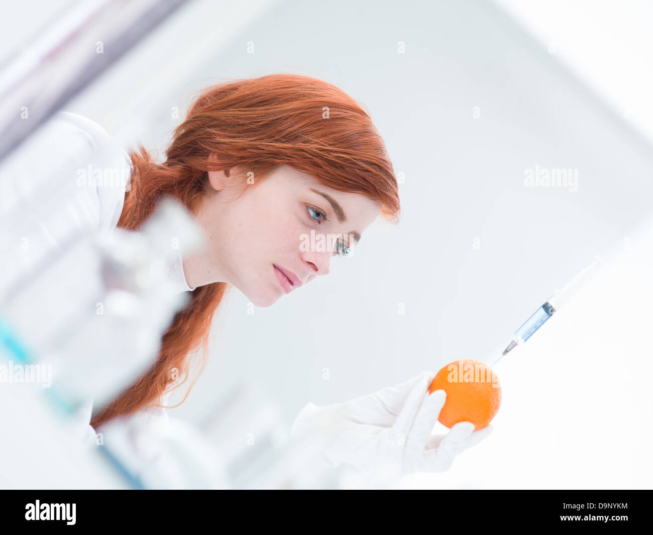 close-up of woman in a laboratory analyzing an injected orange Stock ...