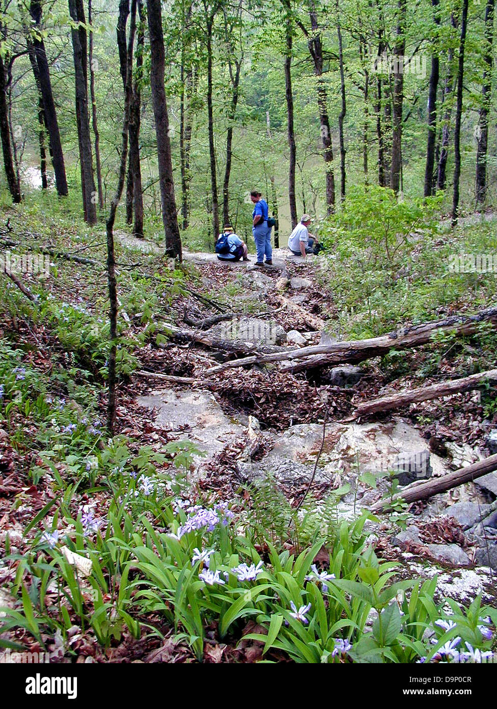 Mammoth Cave National Park in Kentucky is home to the longest cave ...