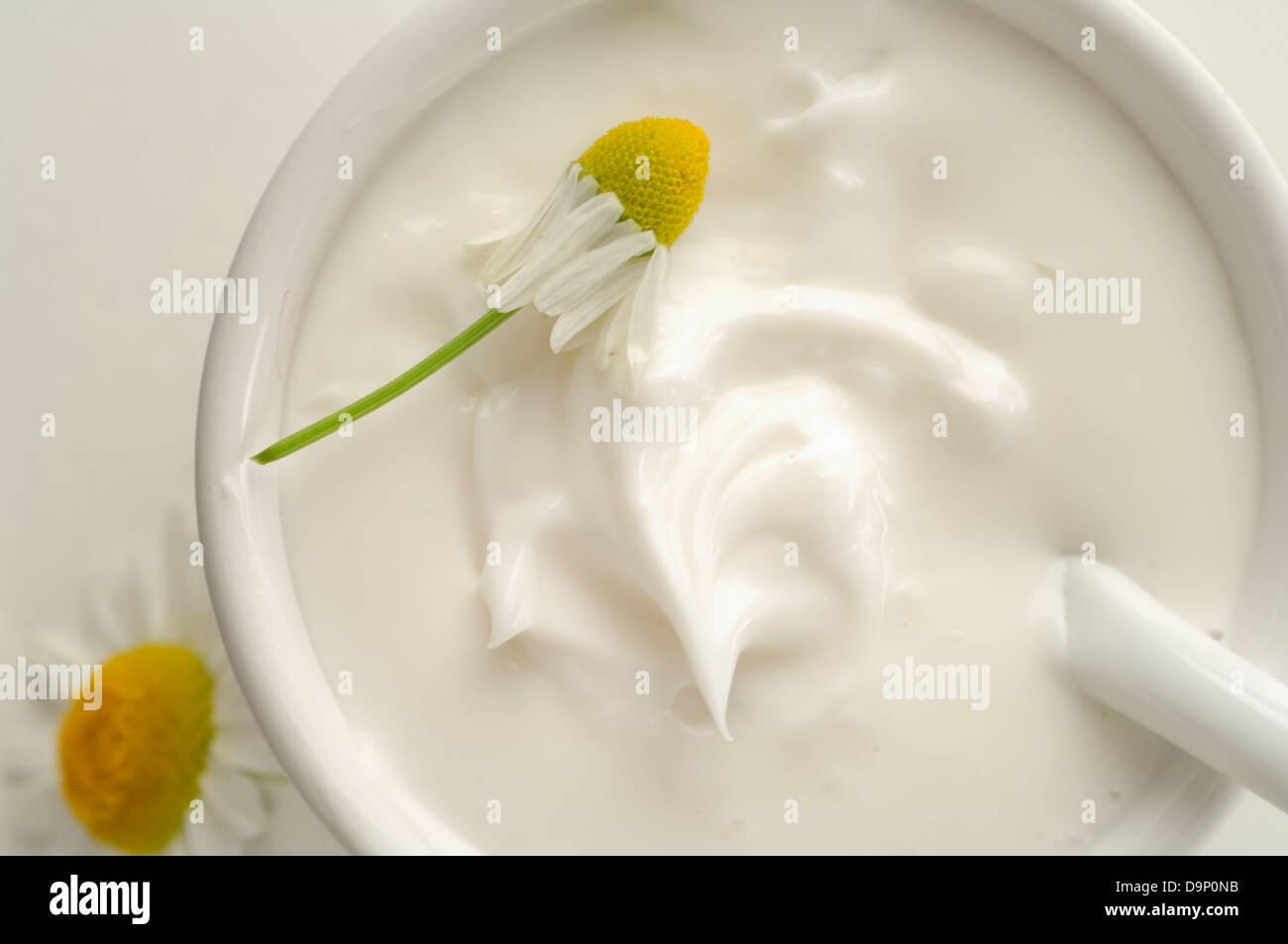 Cream with camomile Stock Photo - Alamy
