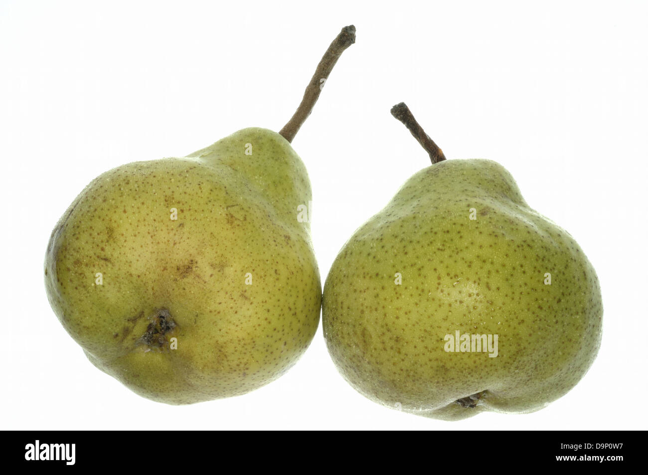 Two cut out hi-res stock photography and images - Alamy