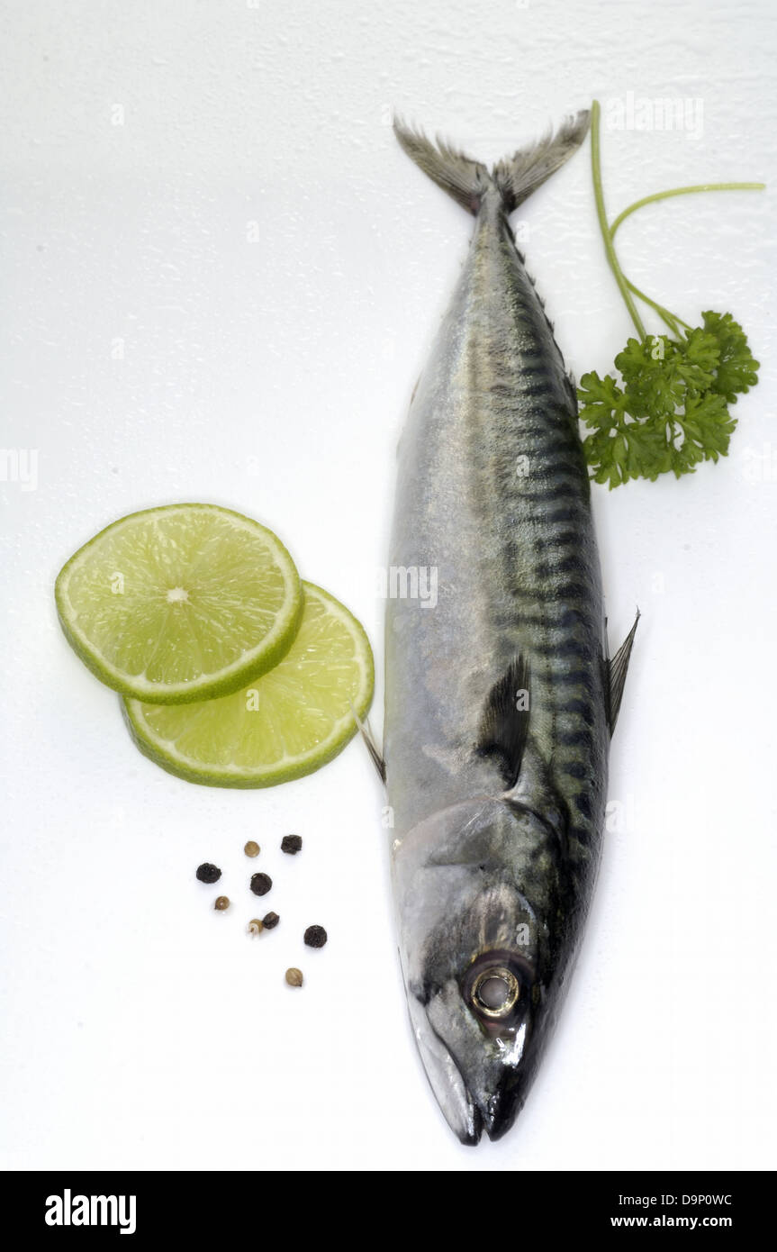 Fish article hi-res stock photography and images - Alamy