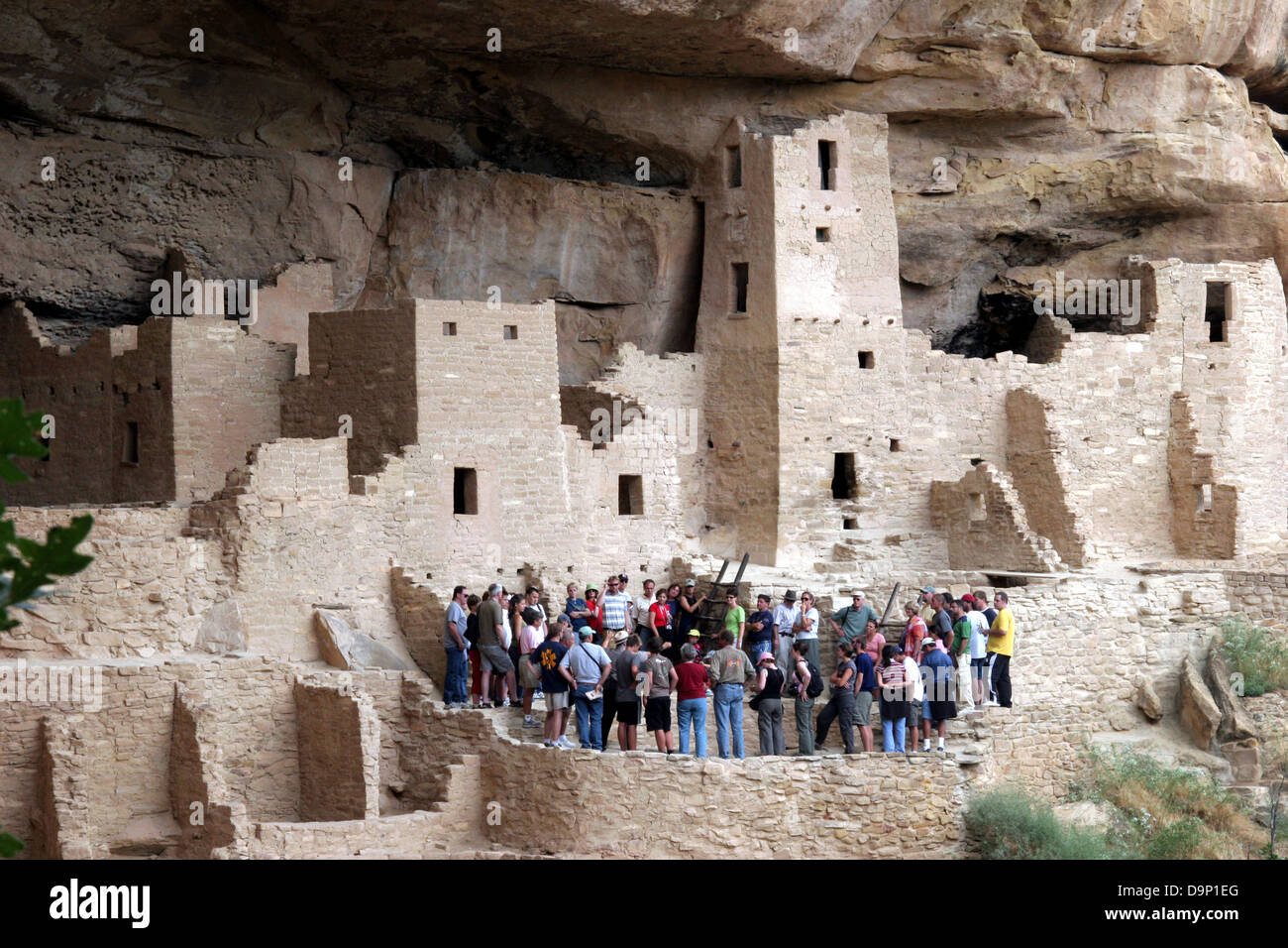 Meve hi-res stock photography and images - Alamy