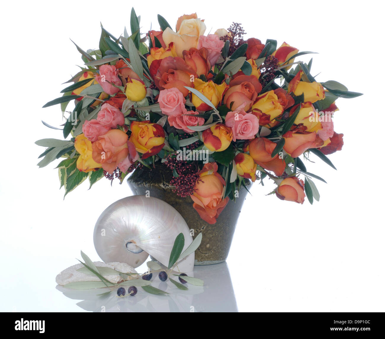 Snail flowers hi-res stock photography and images - Alamy