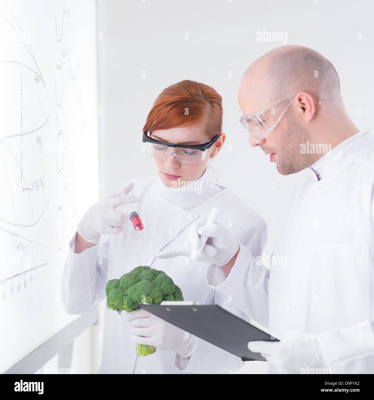 Conservation lab hi-res stock photography and images - Alamy