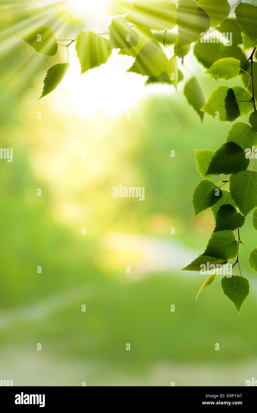 Abstract environmental backgrounds for your design Stock Photo - Alamy