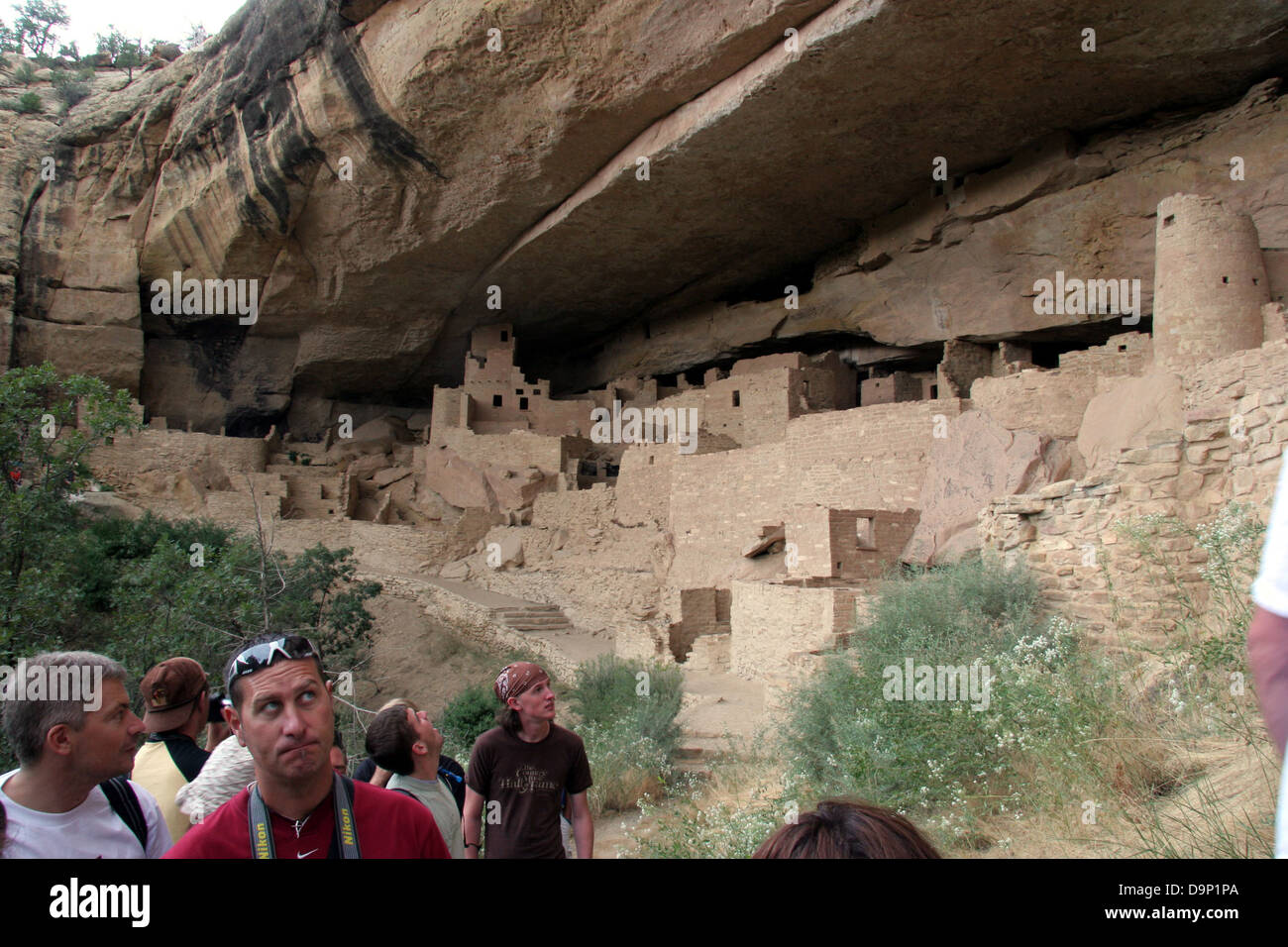 Meve hi-res stock photography and images - Alamy