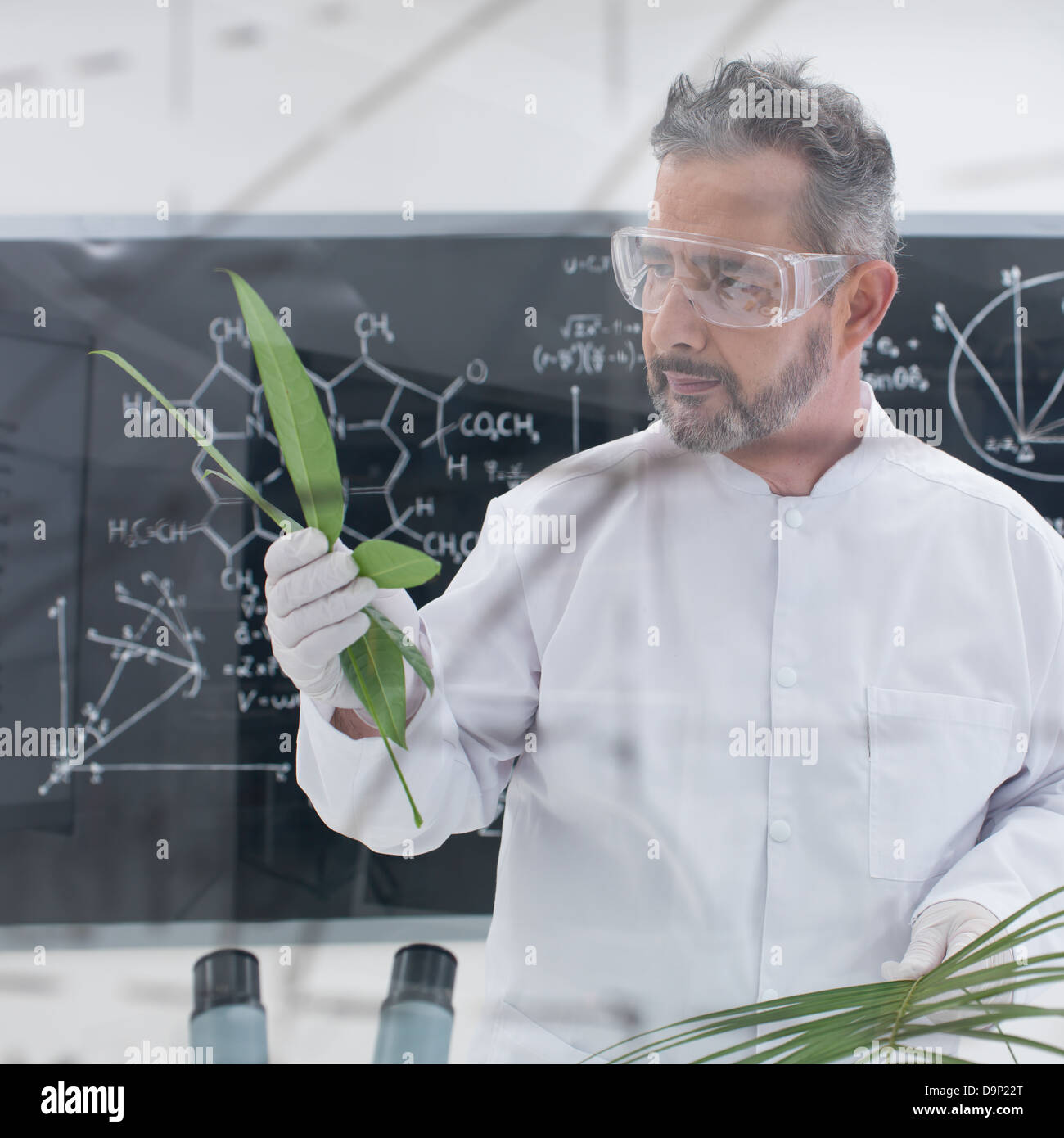 close-up of scientist in a chemistry lab analyzing leafs around lab ...