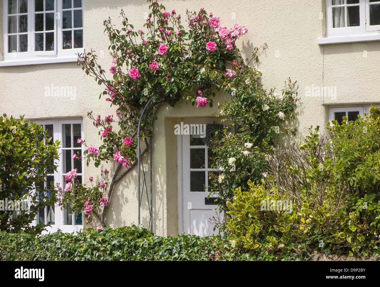 Picturesque Cottage in Devon, Front Door with Climbing Roses, England ...