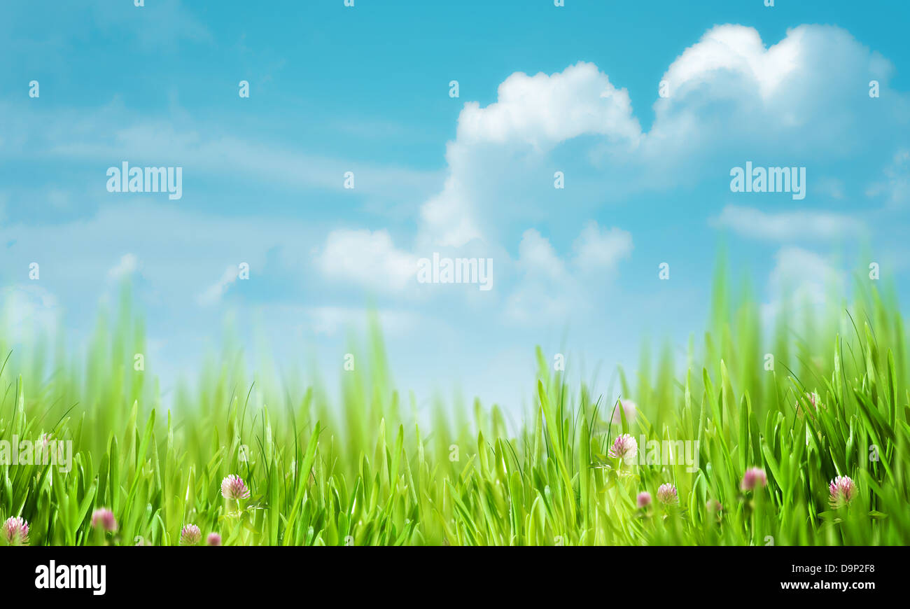 Natural rural backgrounds with copy space Stock Photo - Alamy