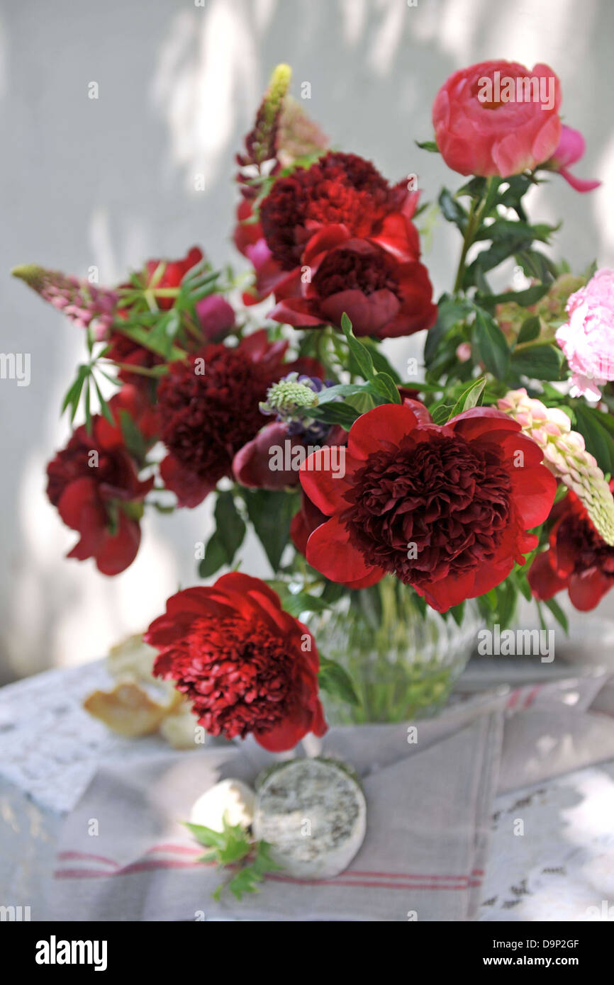 Bunch of red flowers outdoors Stock Photo - Alamy