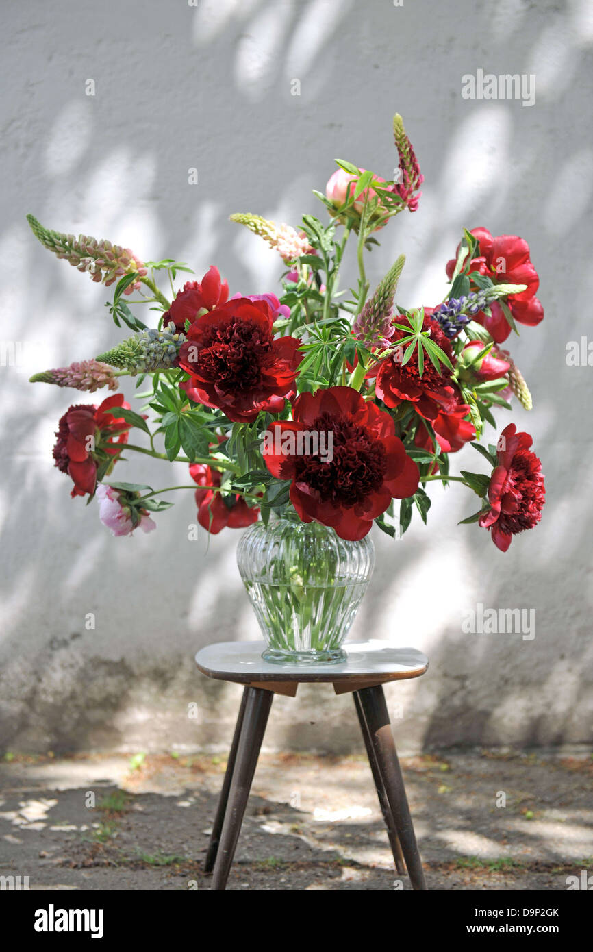 Bunch of red flowers outdoors Stock Photo - Alamy