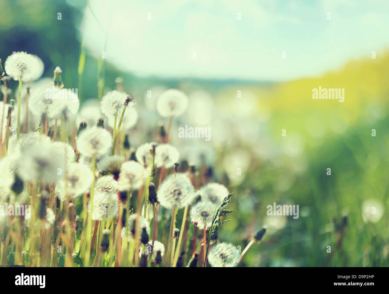 Flora presenting hi-res stock photography and images - Alamy