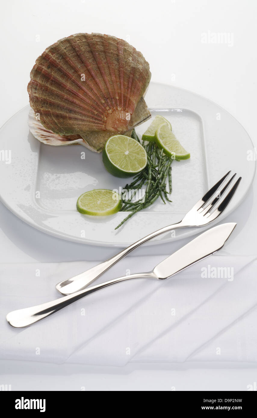 Scallop on a plate Stock Photo - Alamy