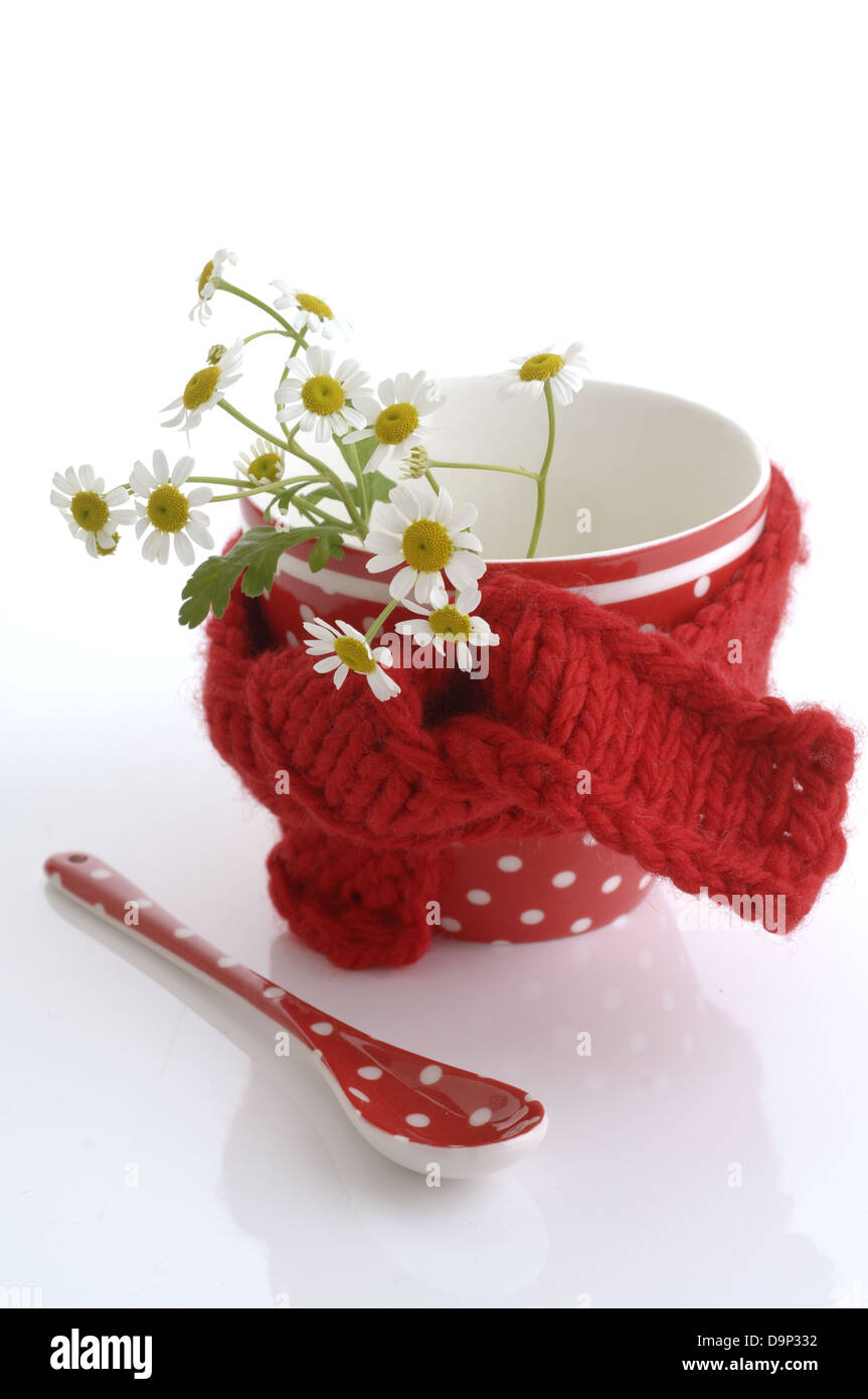 Camomile blossoms in cup Stock Photo - Alamy