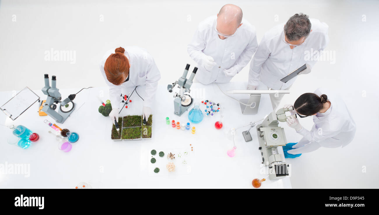 bird-eye of two teachers people in a chemistry lab supervising two ...