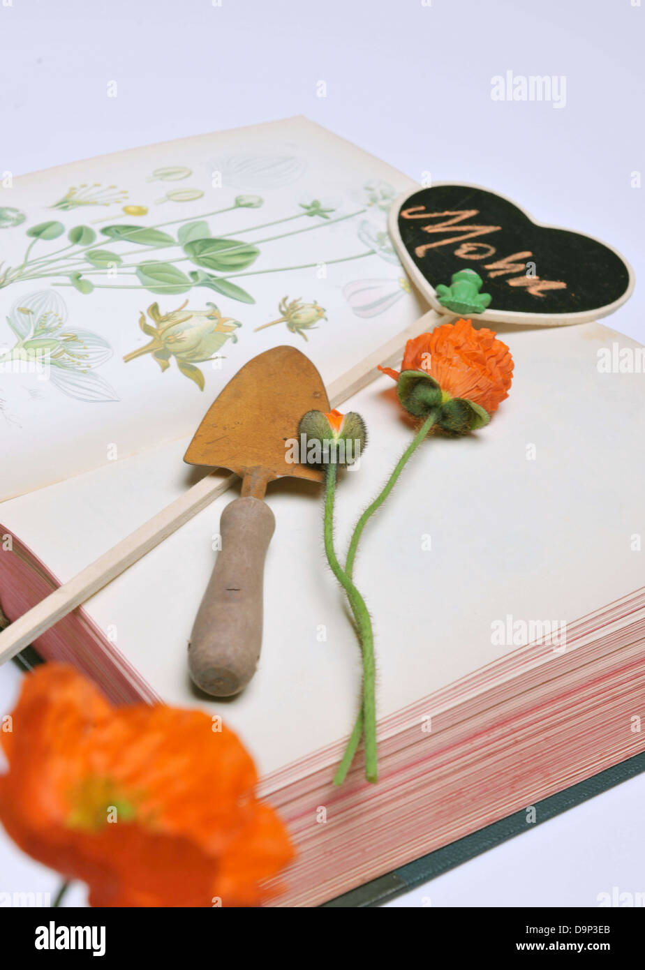 Poppy book hi-res stock photography and images - Alamy