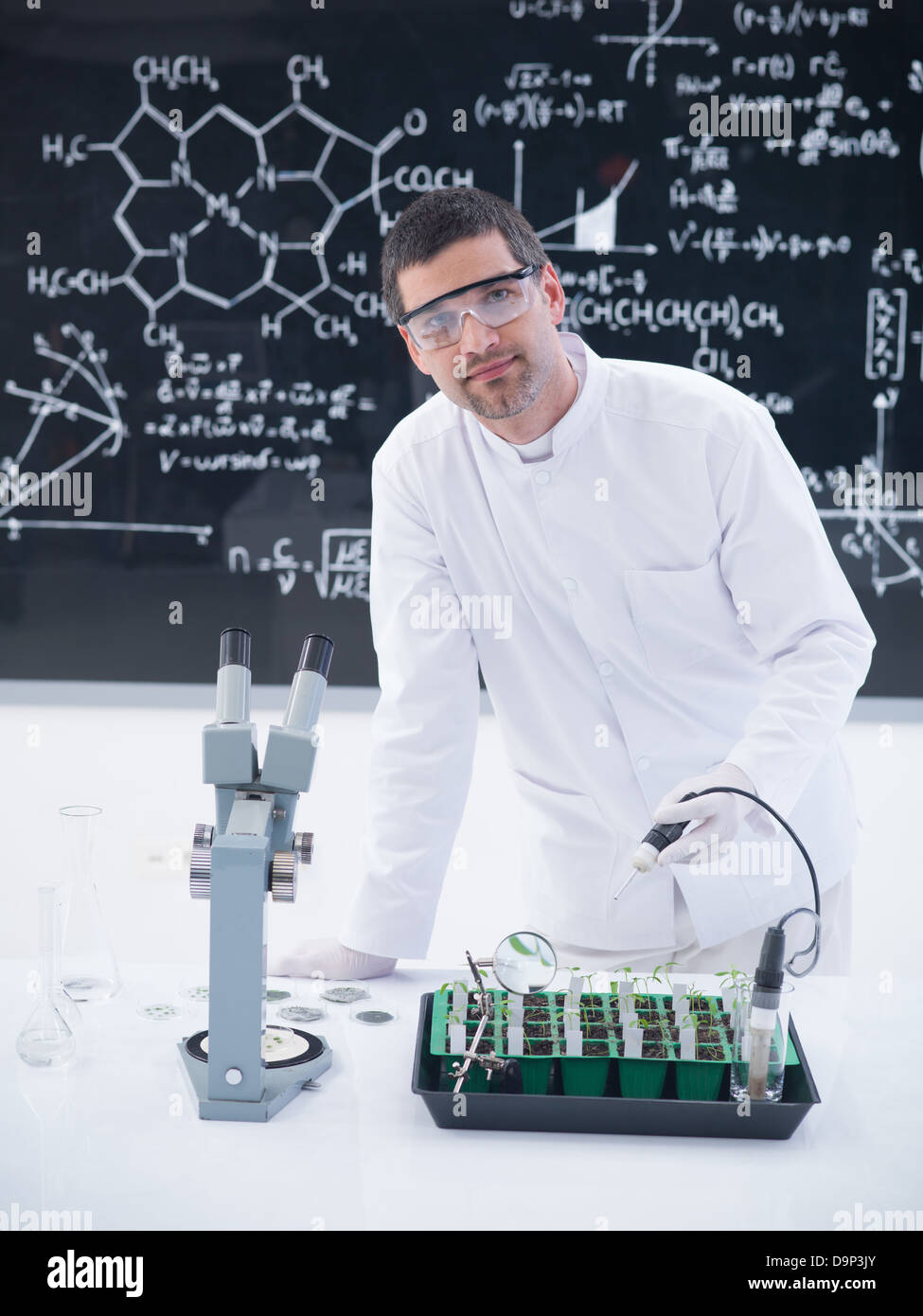 close-up of a scientist in a chemistry lab conducting a seedlings ...