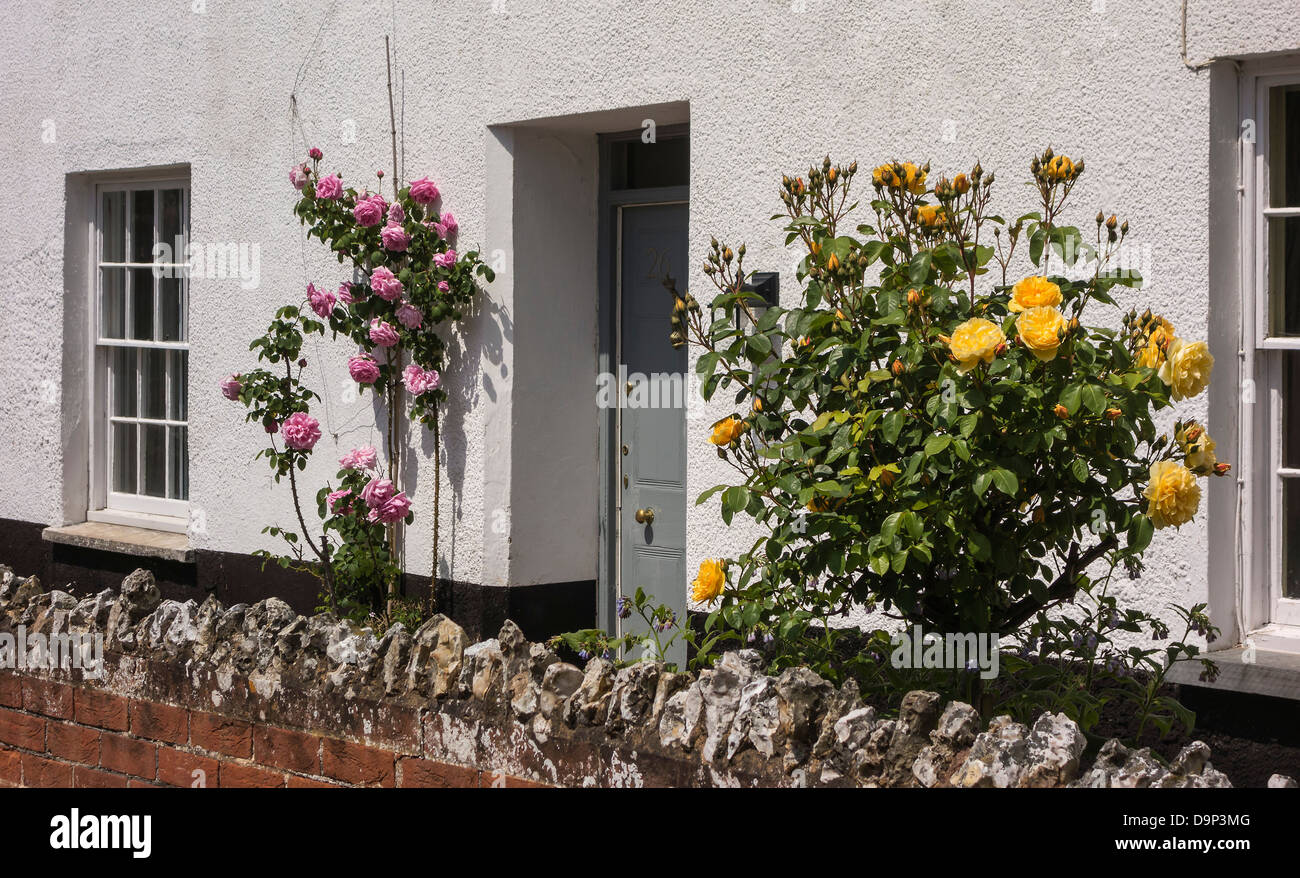 Cottage with Climbing Roses, Devon, England, UK Stock Photo - Alamy