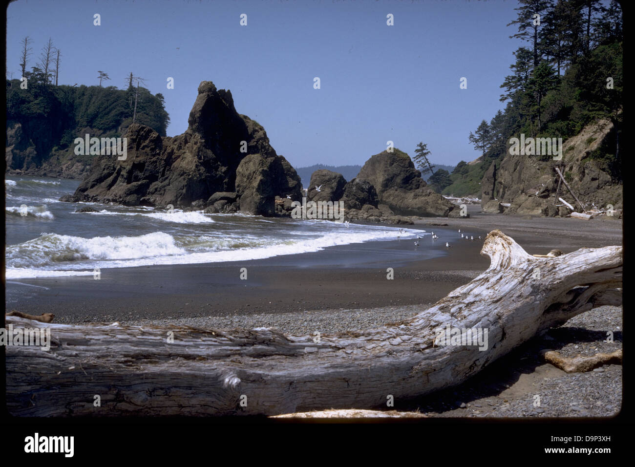 Olympic National Park in Washington State offers diverse ecosystems ...