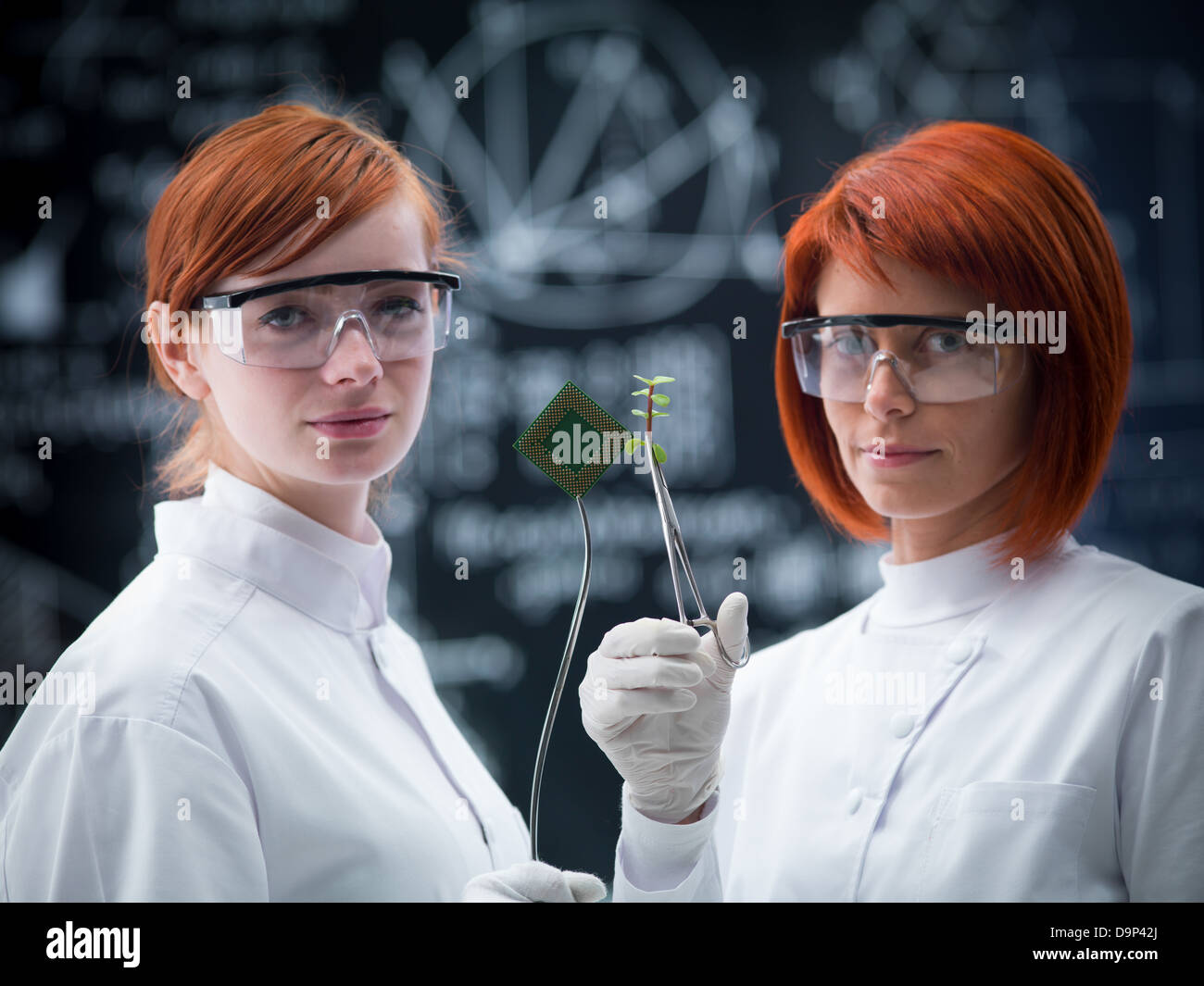Comparative analysis hi-res stock photography and images - Alamy