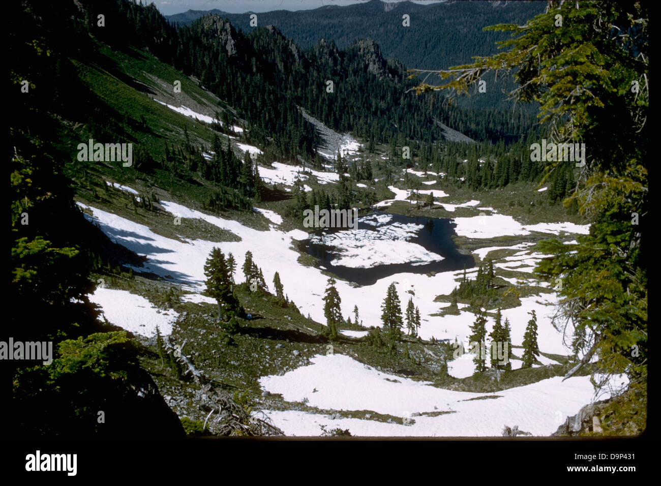 Olympic National Park in Washington state offers diverse ecosystems ...