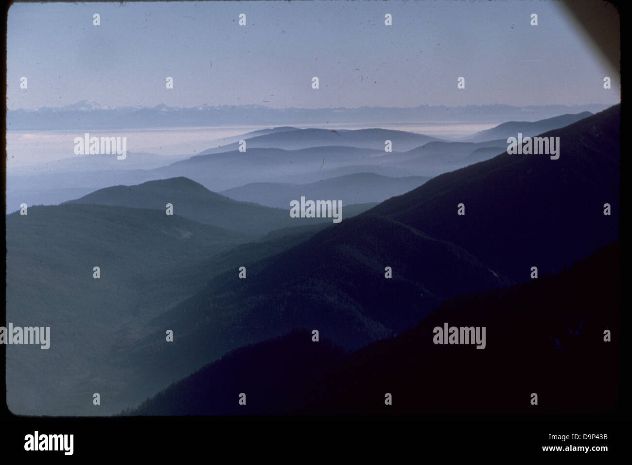 Olympic National Park in Washington state is known for its diverse ...