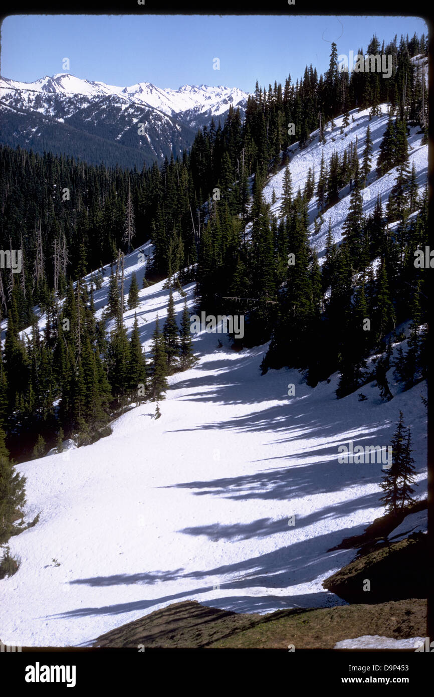 Olympic National Park in Washington State is known for its diverse ...