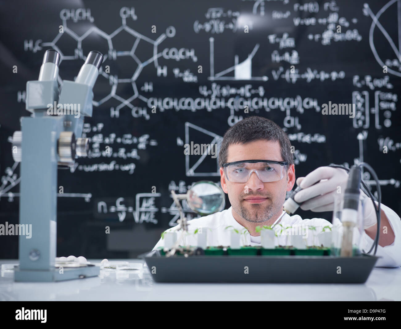 close-up of a man in a chemistry lab conducting a plant experiment on a ...