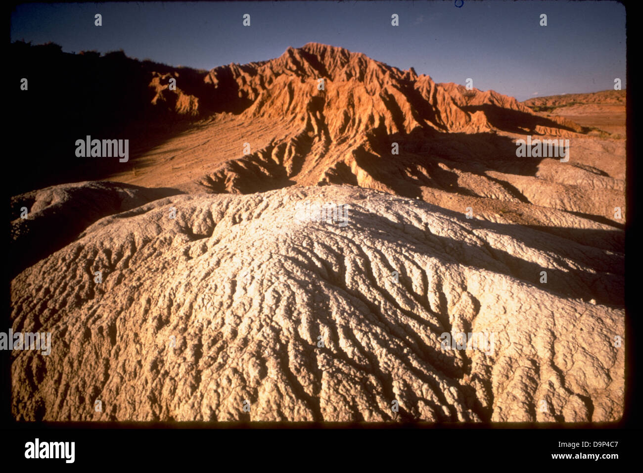 Petrified Forest National Park in Arizona is known for its ancient ...