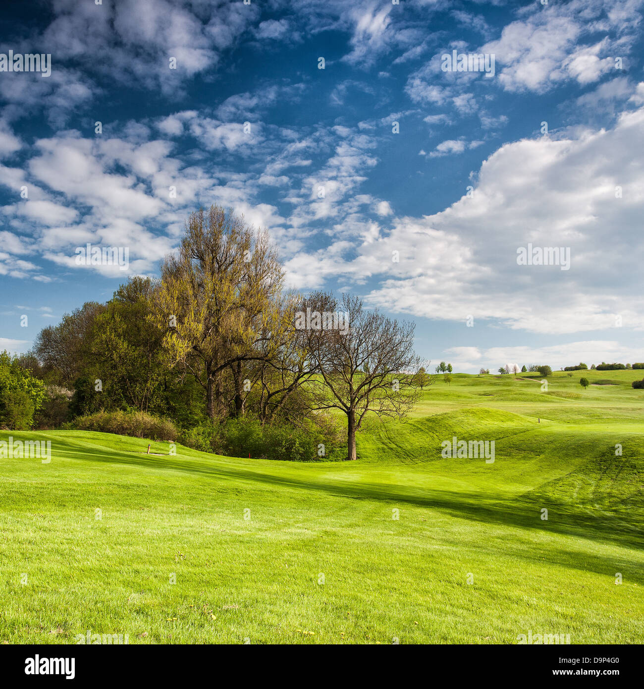 On the empty golf course in spring in Czech Republic Stock Photo - Alamy