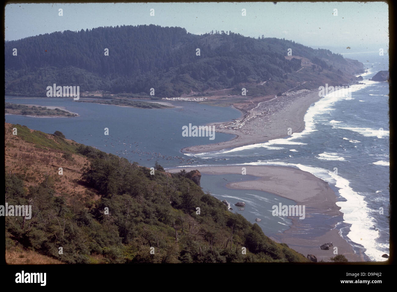 Redwood National Park in California preserves ancient redwood trees ...