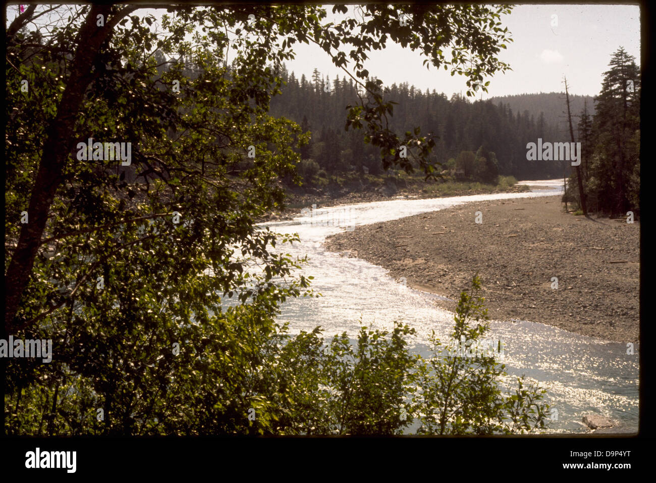 Redwood National Park in California is home to some of the tallest ...