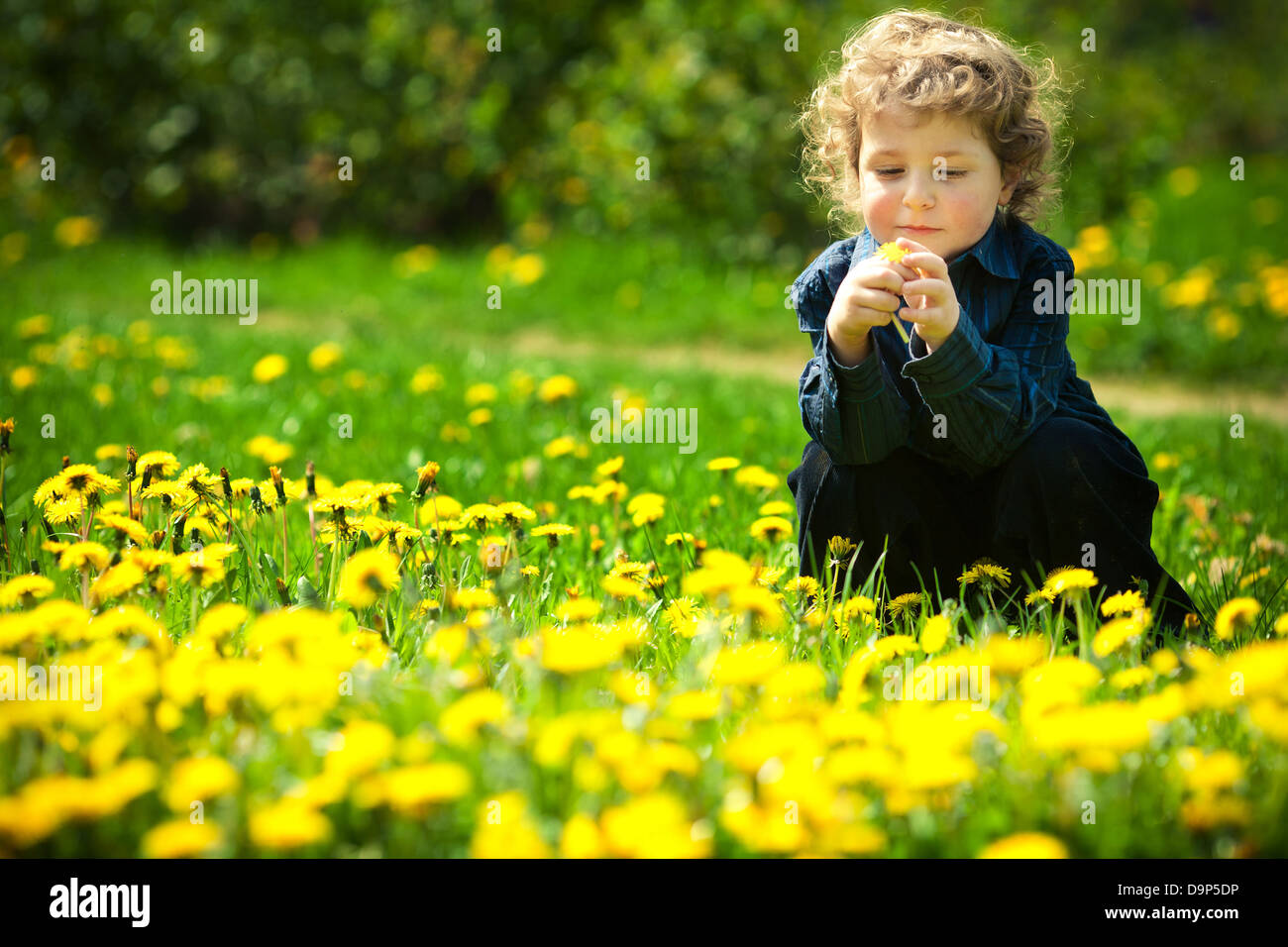 little boy in flowers field Stock Photo - Alamy