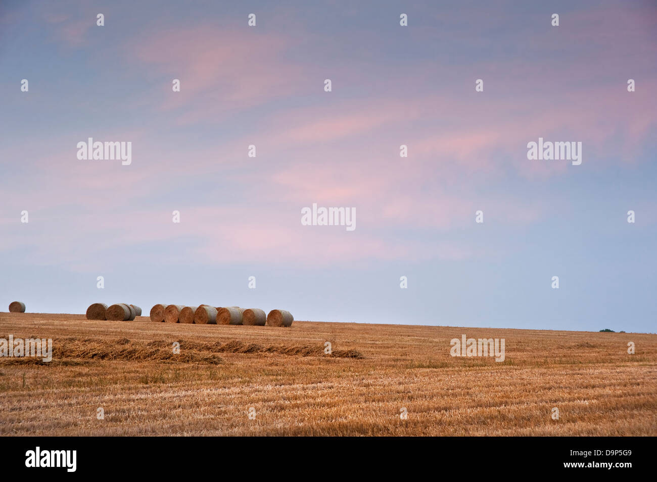 Lovely sunset golden hour landscape of hay bales in field in English ...
